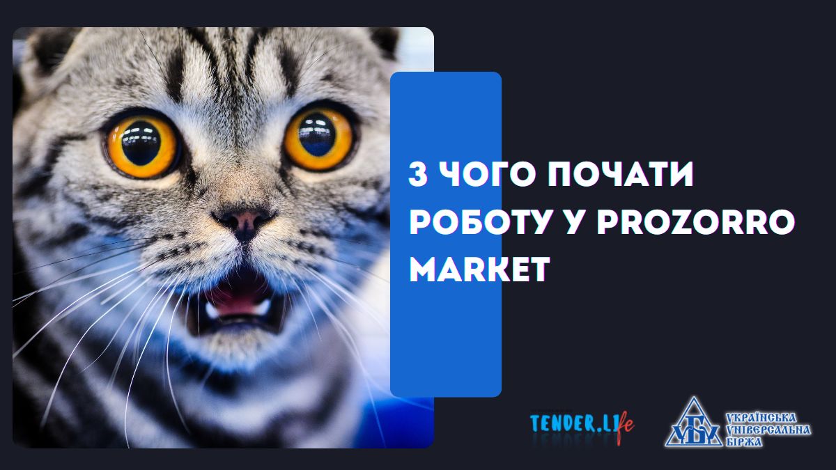 Prozorro Market: як почати та заробляти! - все про Prozorro з TenderLife